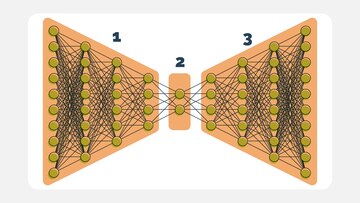 Premium Vector | Detailed Autoencoder Network Illustration Encoding Hidden Layer and Decoding
