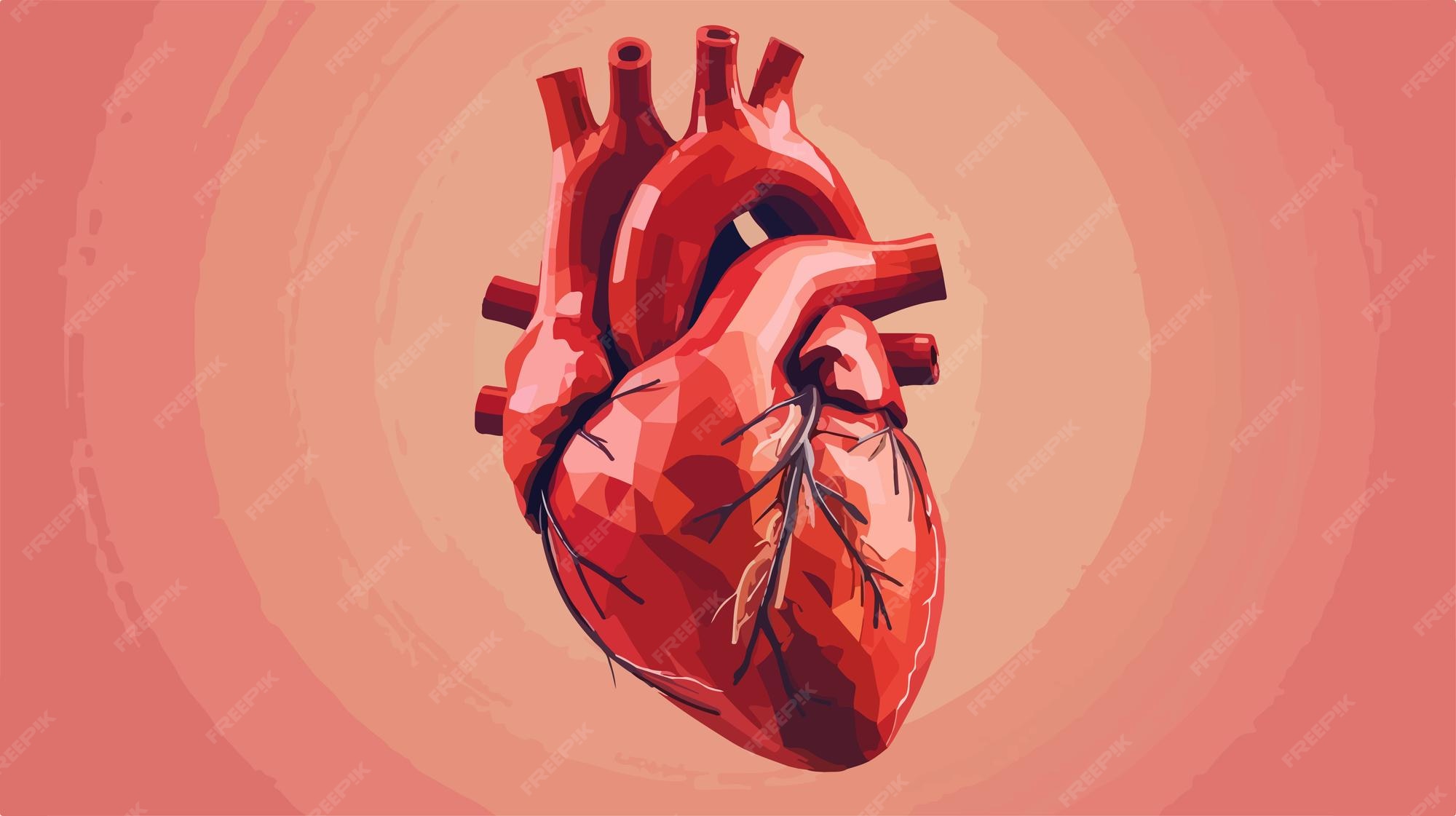 Detailed Vector Illustration of Human Heart Anatomy | Premium AI ... Detailed Vector Illustration of Human Heart Anatomy | Premium AI ...