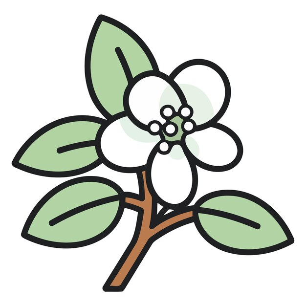Premium Vector Detailed Vector Of A Jasmine Icon Ideal For Nature Themed Graphics