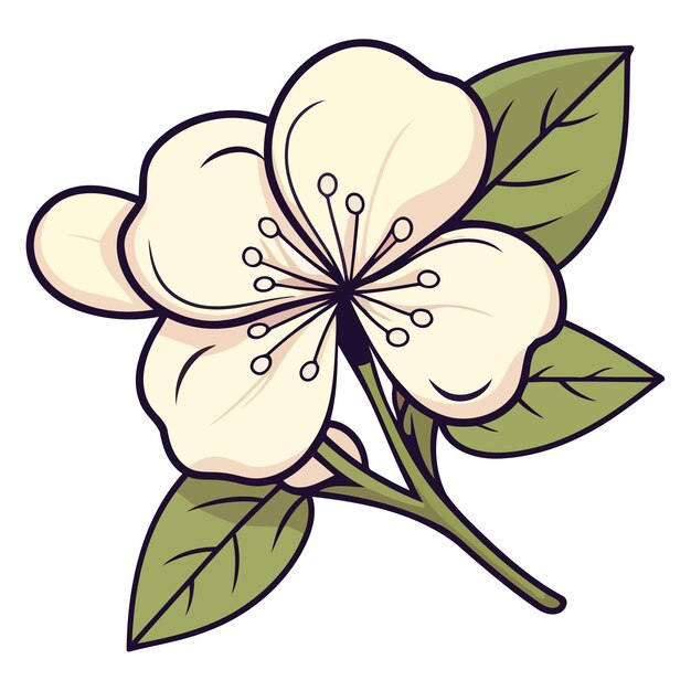 Premium Vector Detailed Vector Of A Jasmine Icon Ideal For Nature Themed Graphics