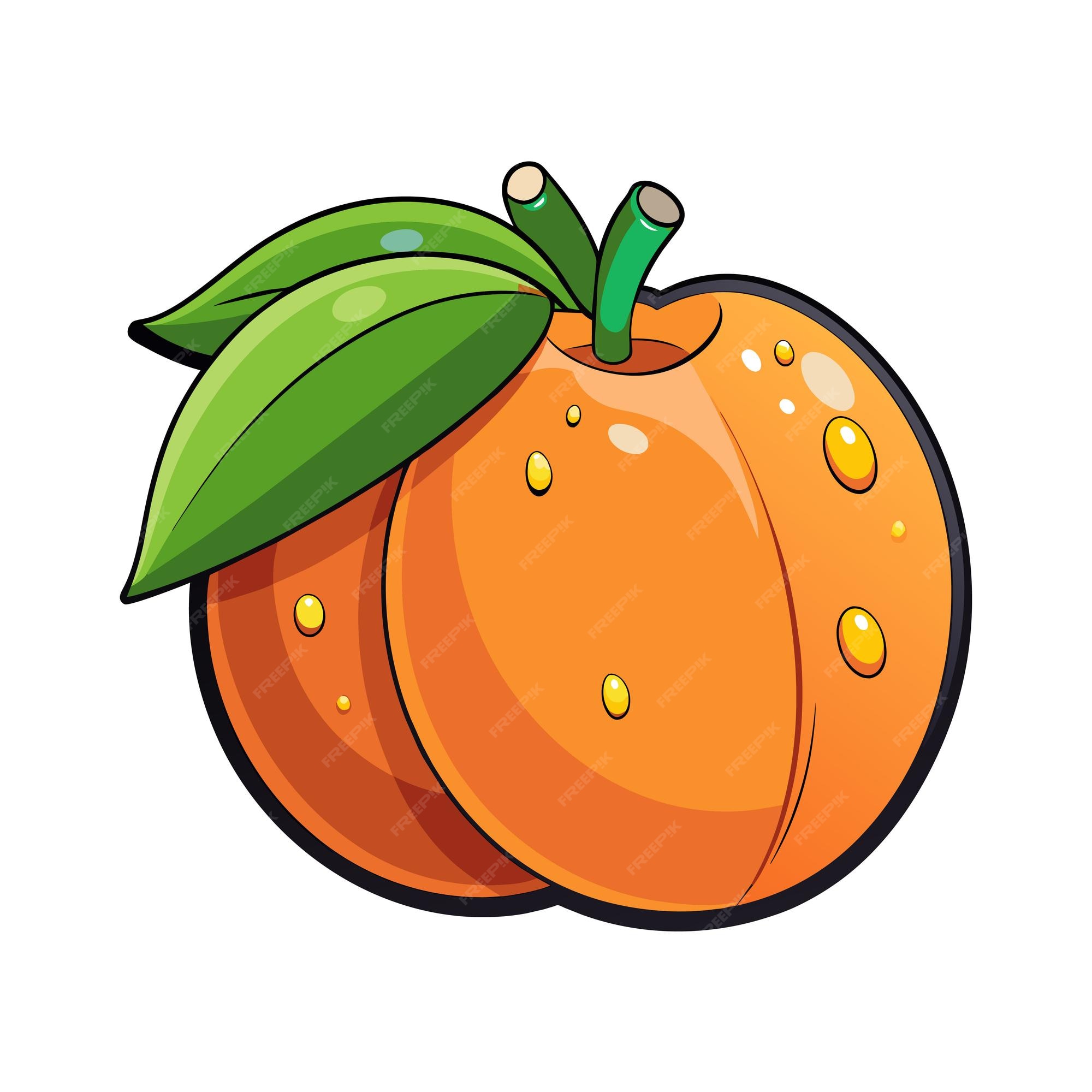 Premium Vector | Different types of Fruits vector illustration Concept Premium Vector | Different types of Fruits vector illustration Concept