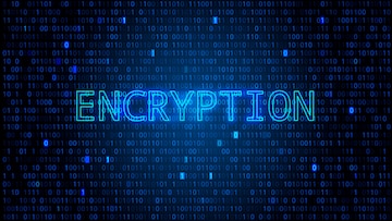 Premium Vector | Digital binary code background with highlighted ...