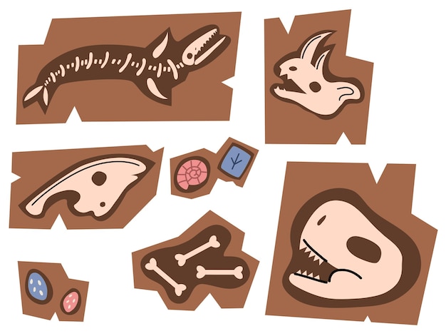 Premium Vector | Dinosaurs fossils ancient dinosaur skeleton ... Premium Vector | Dinosaurs fossils ancient dinosaur skeleton ...
