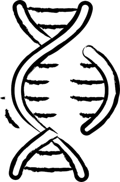 Premium Vector Dna Divide Hand Drawn Vector Illustration