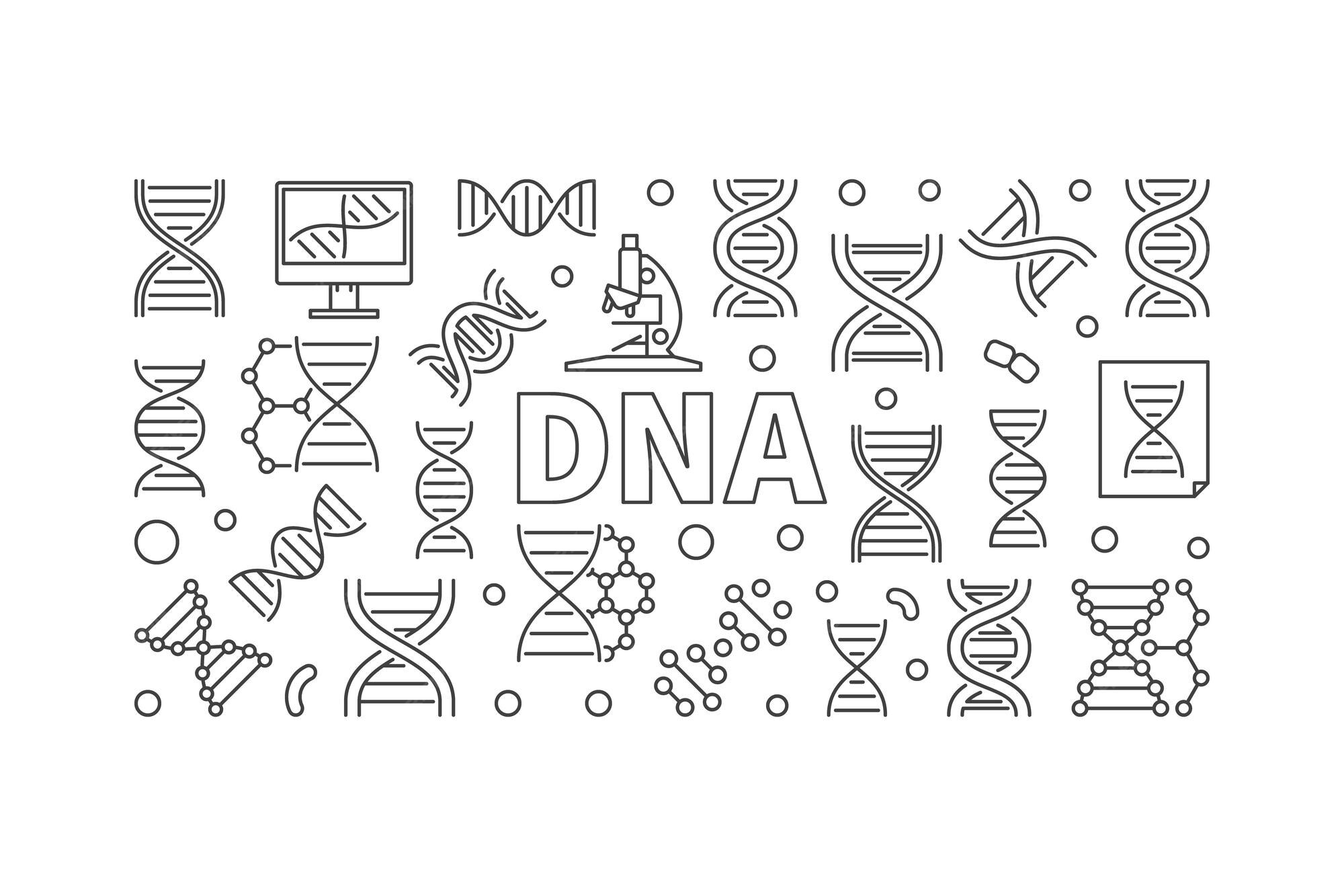 Premium Vector | DNA vector science concept horizontal banner Premium Vector | DNA vector science concept horizontal banner