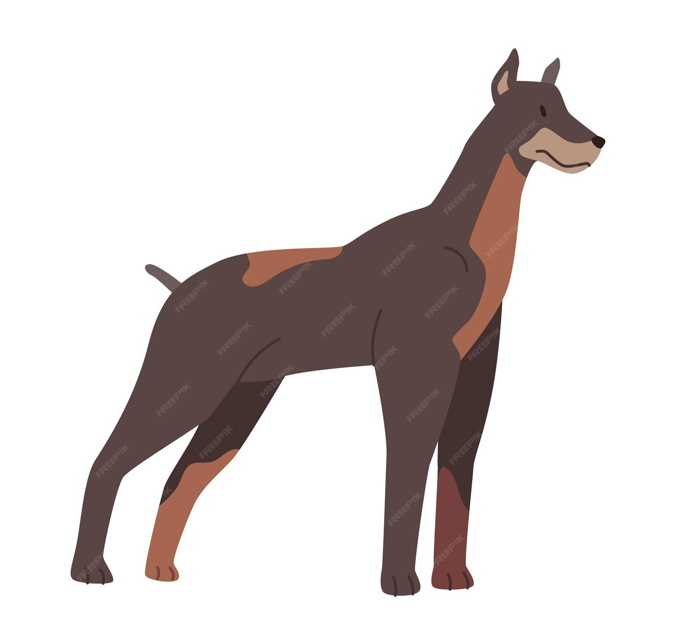 Premium Vector | Dog breed great dane canine animal Premium Vector | Dog breed great dane canine animal