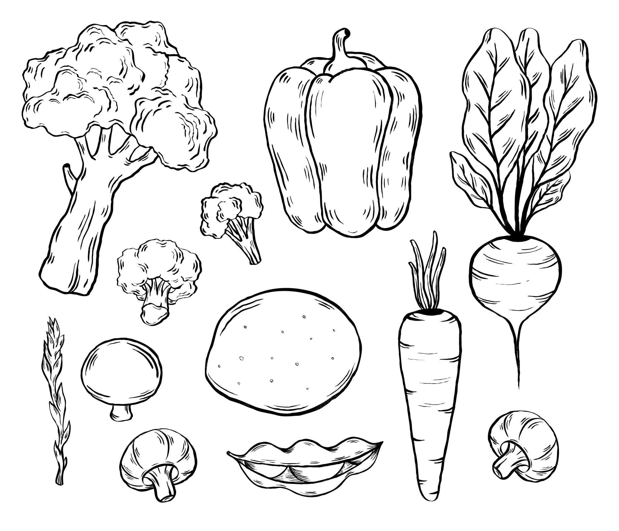 Premium Vector | Doodle style vegetables sketch vector Premium Vector | Doodle style vegetables sketch vector