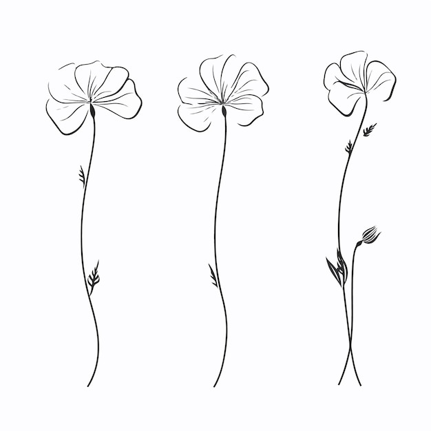 Premium Vector Elegant Vector Illustration Of A Delicate Popy Flower