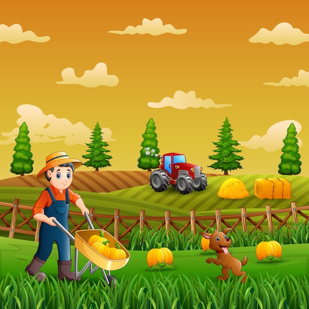 Premium Vector | A farmers harvesting pumpkins in the farm Premium Vector | A farmers harvesting pumpkins in the farm