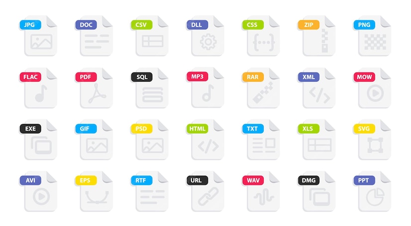 Premium Vector File Type Icon Set Popular Files Format And Document In Flat Style Design