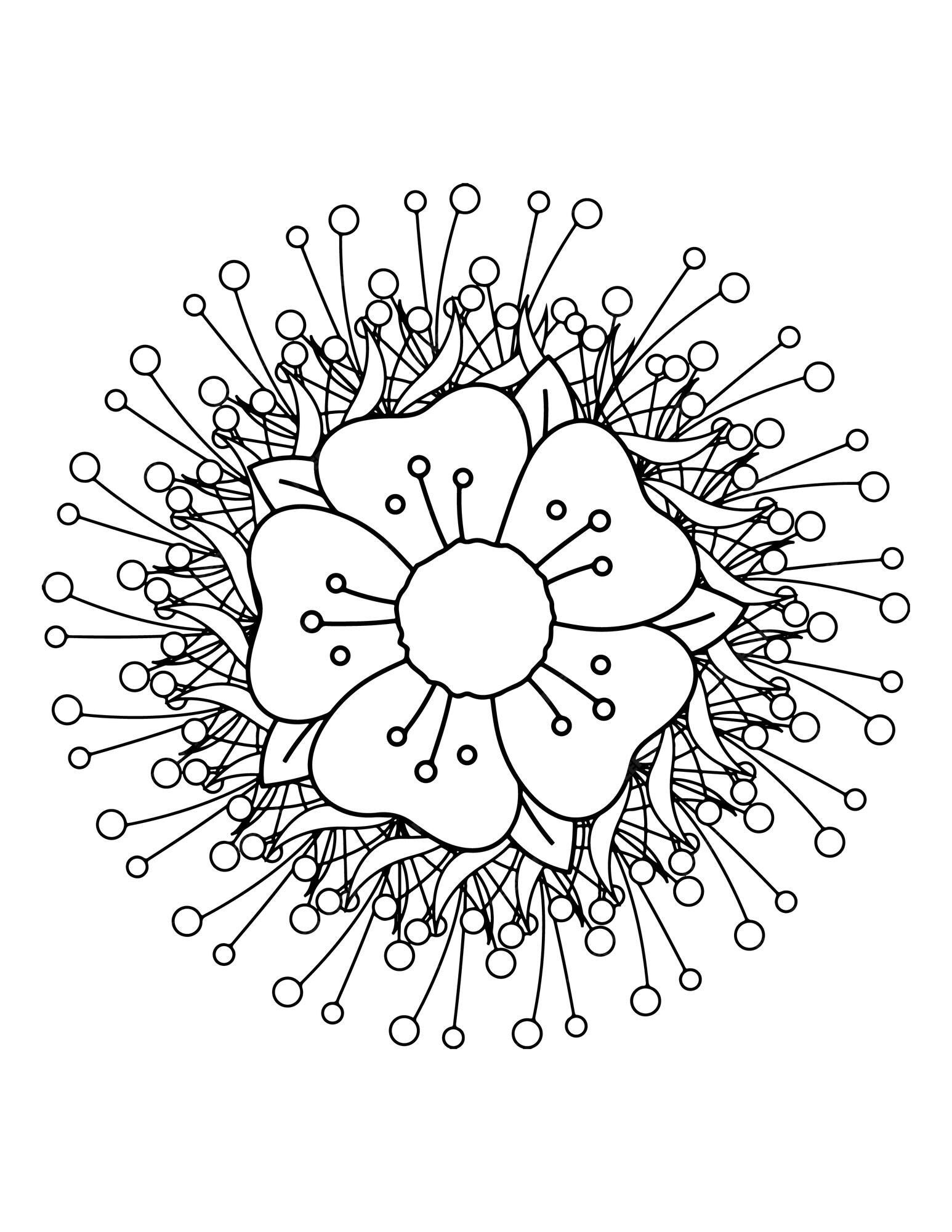 Premium Vector Flower Coloring Book Floral Coloring Book For Adults