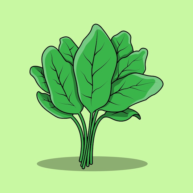 Premium Vector Fresh Spinach