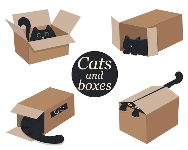 ダンボール箱に入った黒猫のおもしろイラスト 家の中のペット 箱に隠れる猫 プレミアムベクター