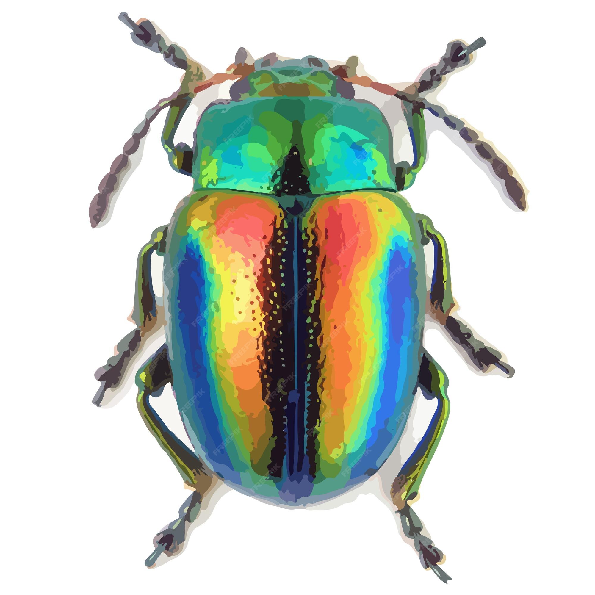 Premium Vector | Graphical hand-drawn bugs. vector. Premium Vector | Graphical hand-drawn bugs. vector.