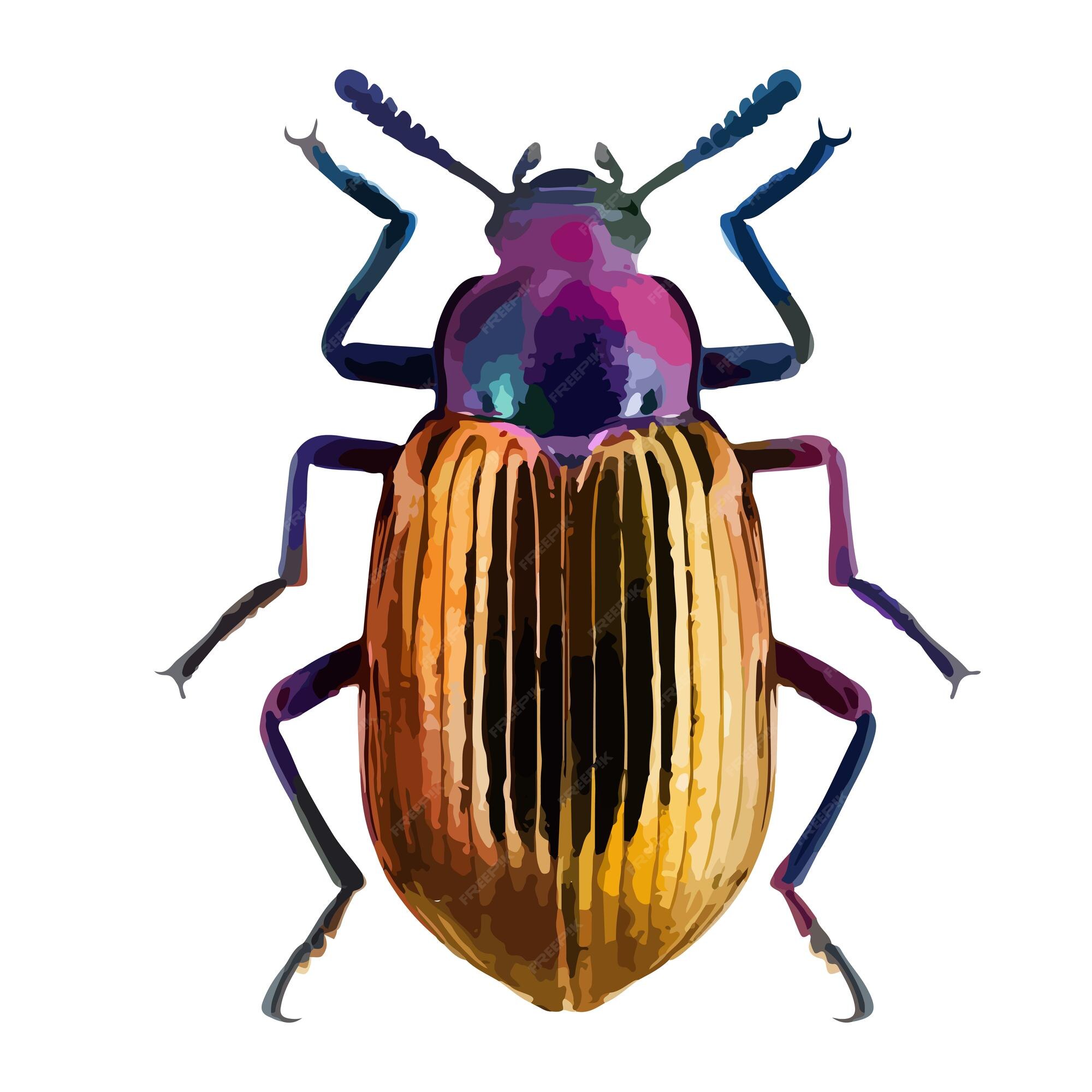 Premium Vector | Graphical hand-drawn bugs. vector. Premium Vector | Graphical hand-drawn bugs. vector.