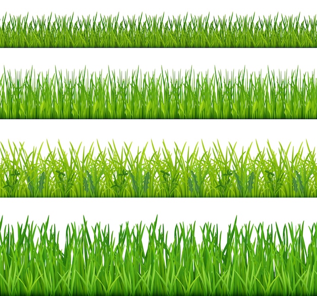 Premium Vector Grass Seamless Botanical Gardening Landscape With