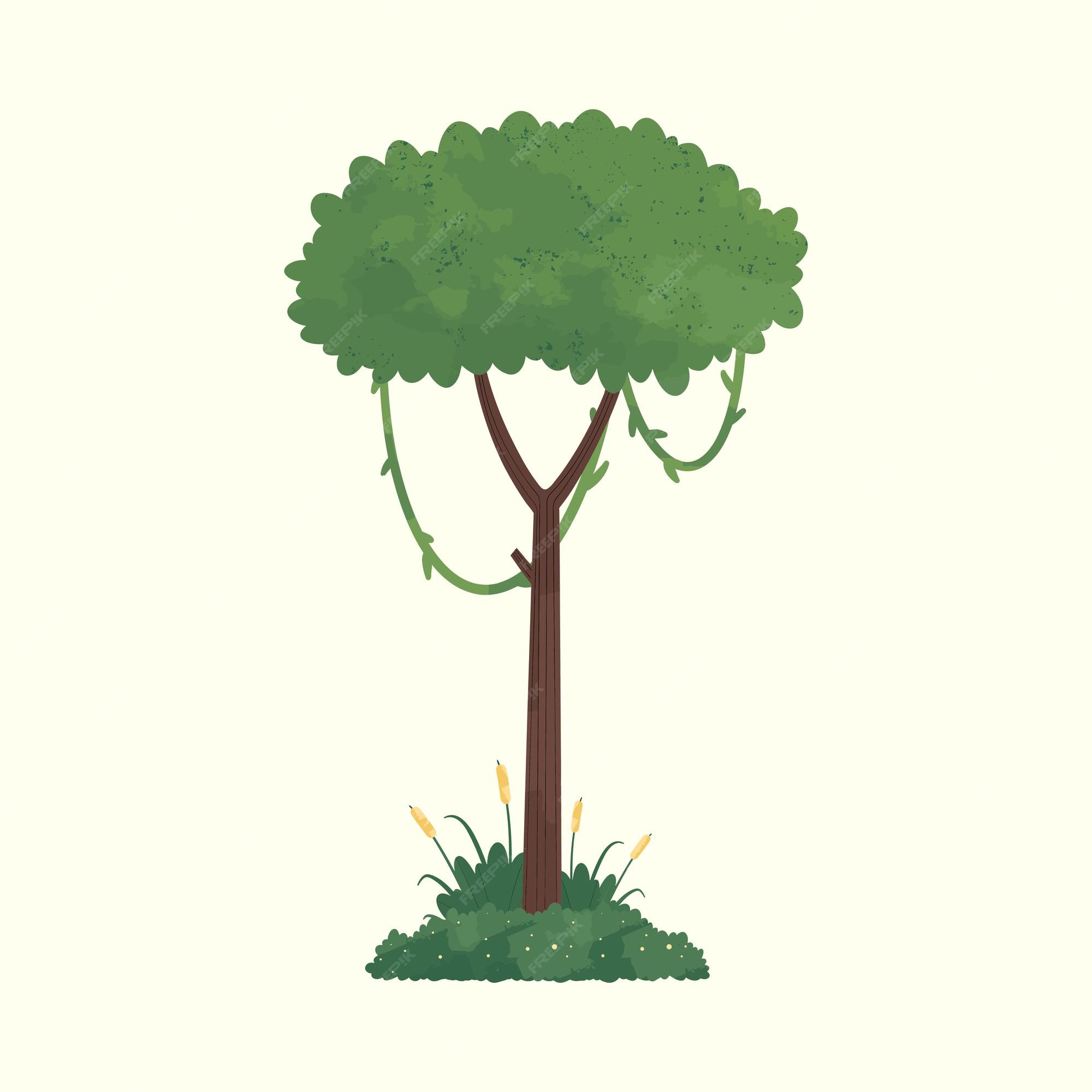 Premium Vector | Green Forest Tree Vector Illustration Premium Vector | Green Forest Tree Vector Illustration