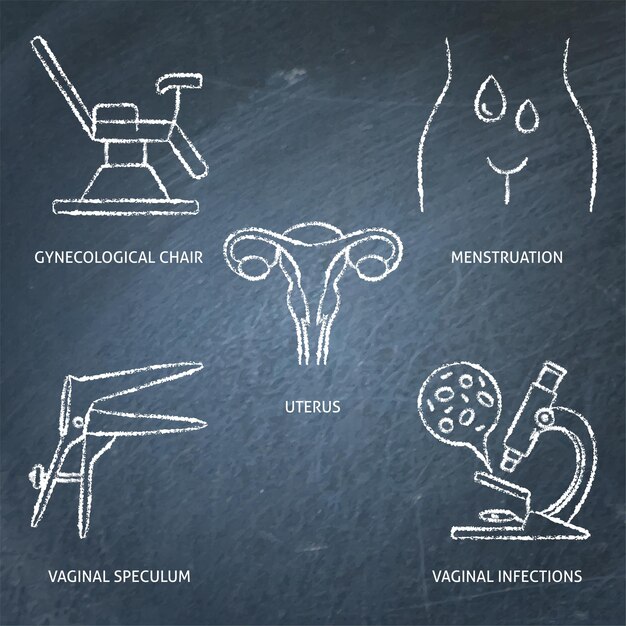 Premium Vector Gynecology And Woman Health Chalkboard Icon Set