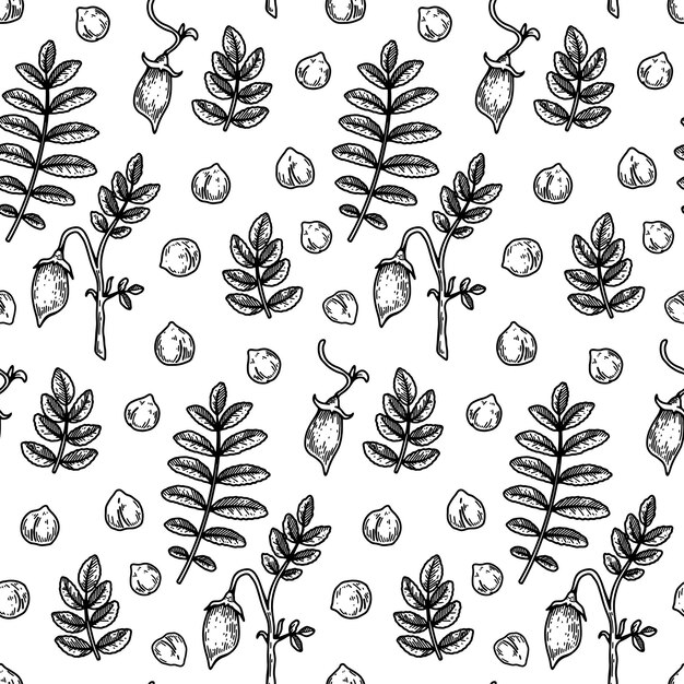 Premium Vector | Hand drawn chickpeas seamless pattern vector ... Premium Vector | Hand drawn chickpeas seamless pattern vector ...