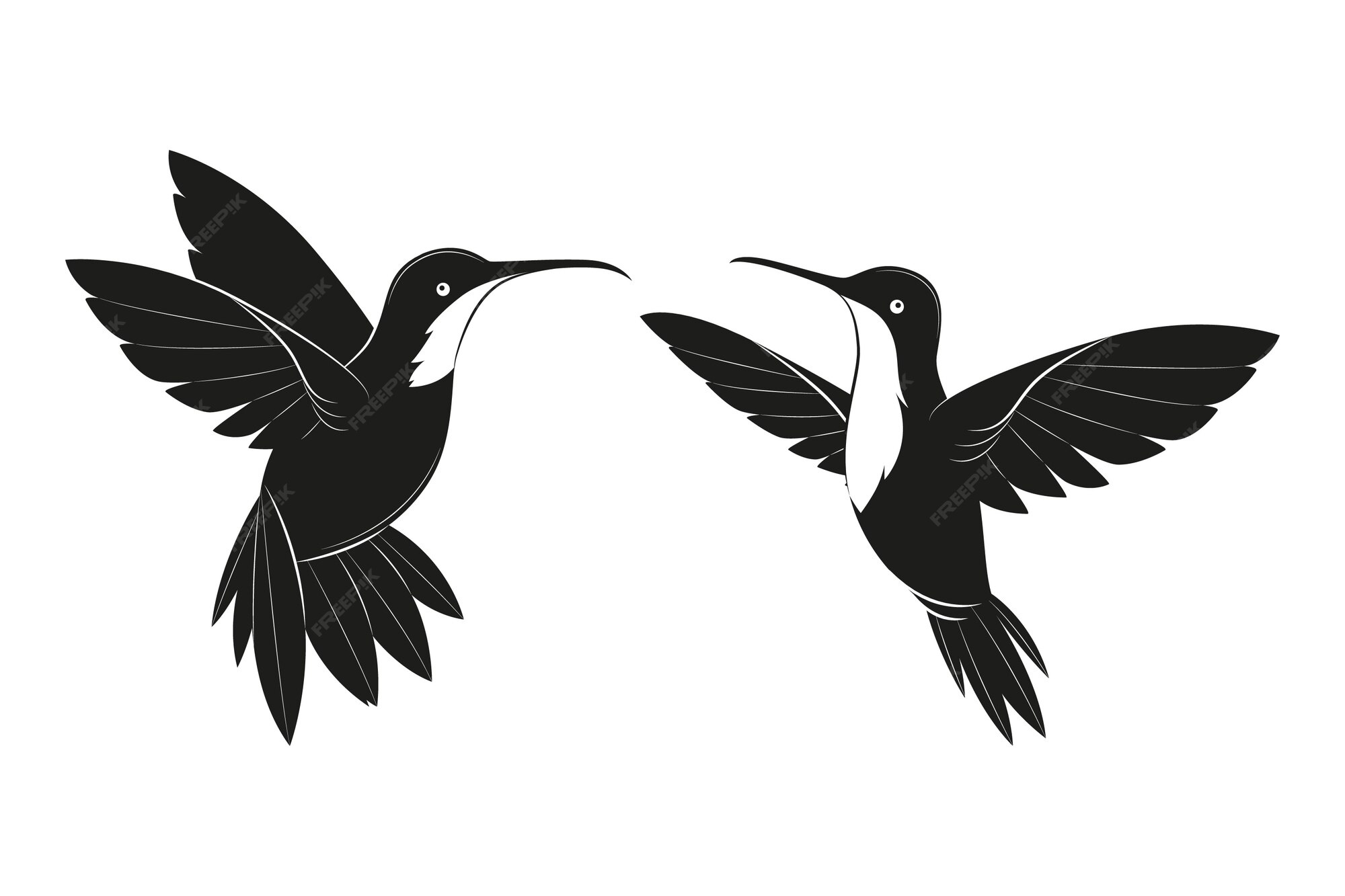 Premium Vector Hand Drawn Hummingbird Silhouette