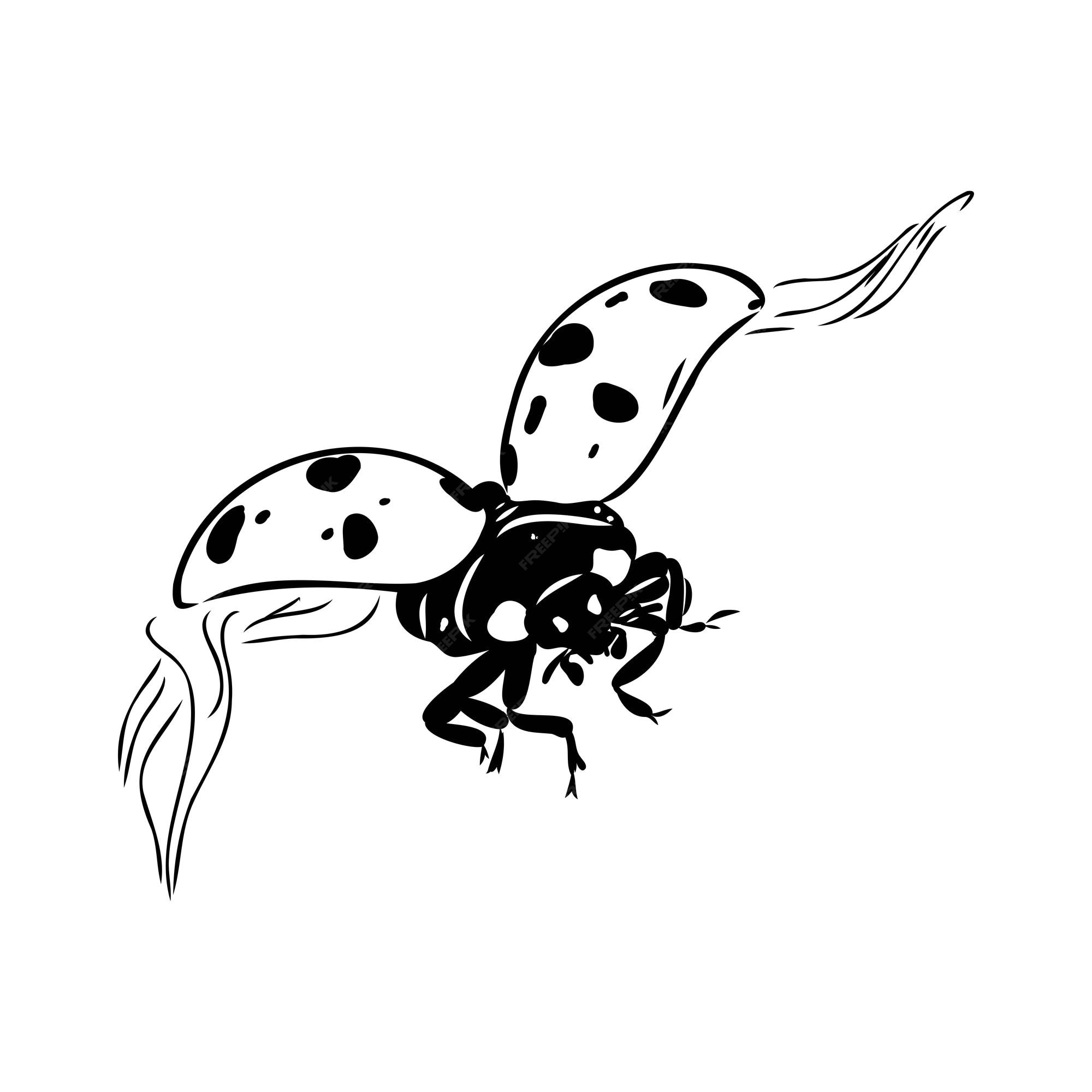 Premium Vector | Hand drawn ink sketch of ladybug ladybug vector sketch Premium Vector | Hand drawn ink sketch of ladybug ladybug vector sketch