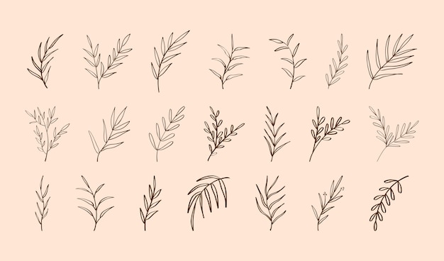 Premium Vector | Hand drawn leaf line art collection Premium Vector | Hand drawn leaf line art collection