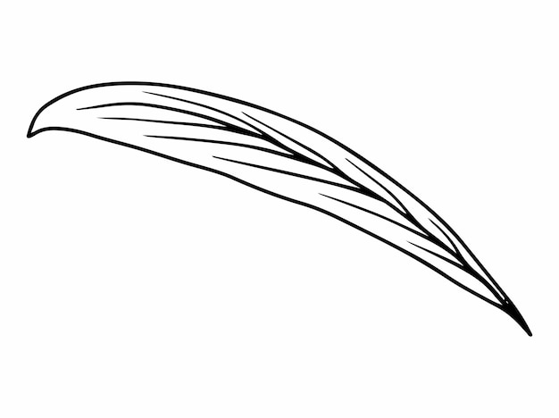Premium Vector | Hand drawn leaf line art illustration Premium Vector | Hand drawn leaf line art illustration