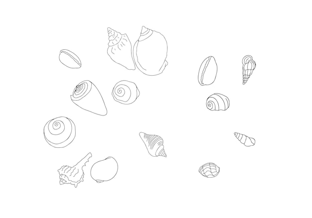 Premium Vector | Hand drawn linear set of shells Premium Vector | Hand drawn linear set of shells