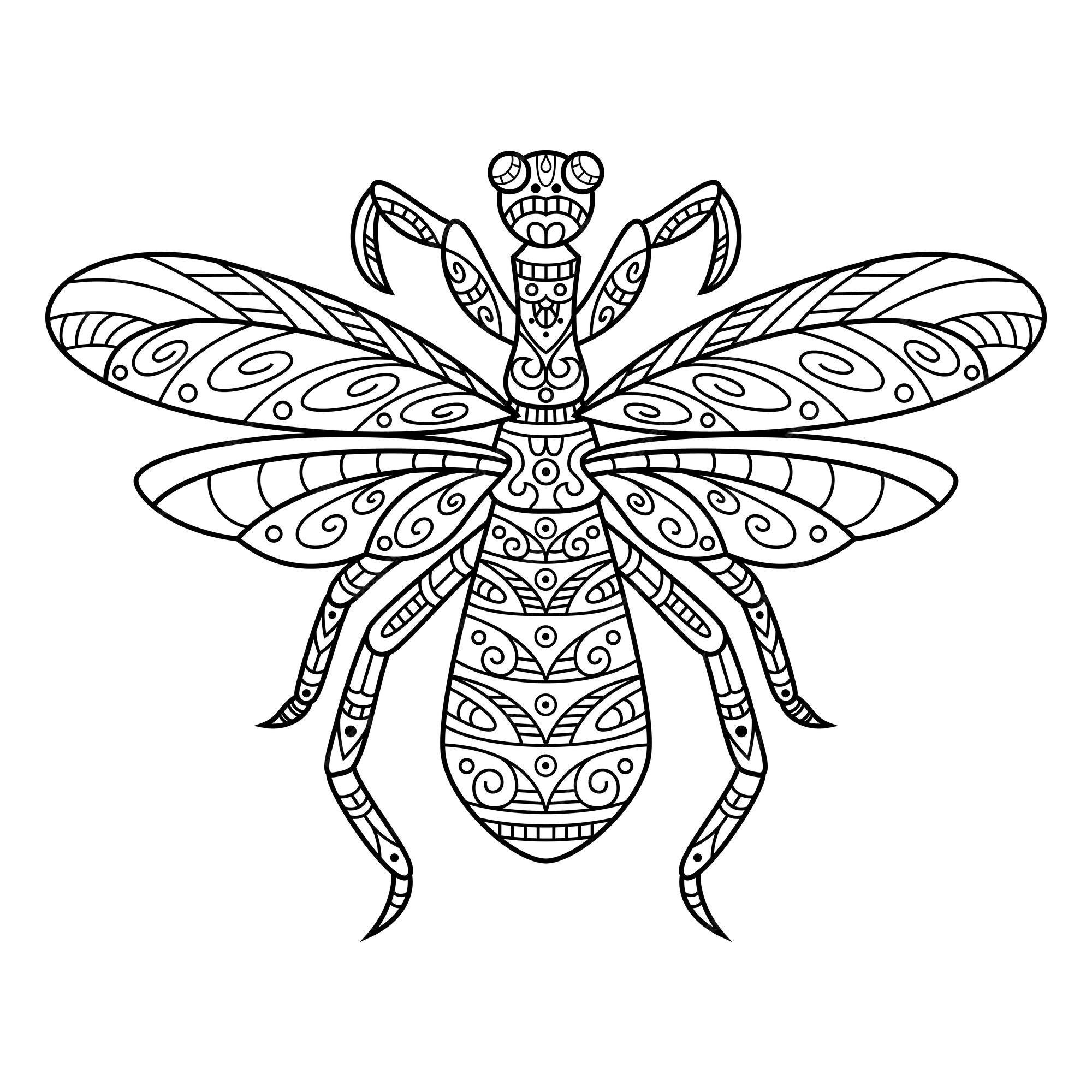 Premium Vector | Hand drawn of mantis in zentangle style Premium Vector | Hand drawn of mantis in zentangle style