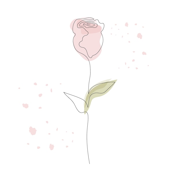 Premium Vector Hand Drawn Rose Flower Continuous One Line Art