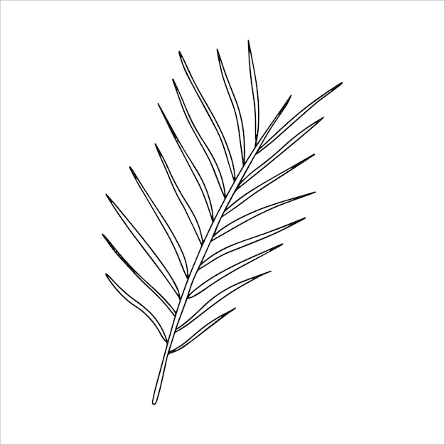 Premium Vector | Hand drawn twig doodle vector illustration Premium Vector | Hand drawn twig doodle vector illustration