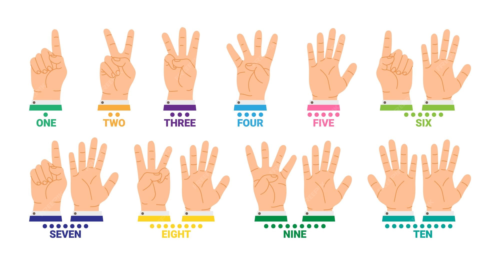 Premium Vector | Hands count with fingers cartoon counting from one to ...