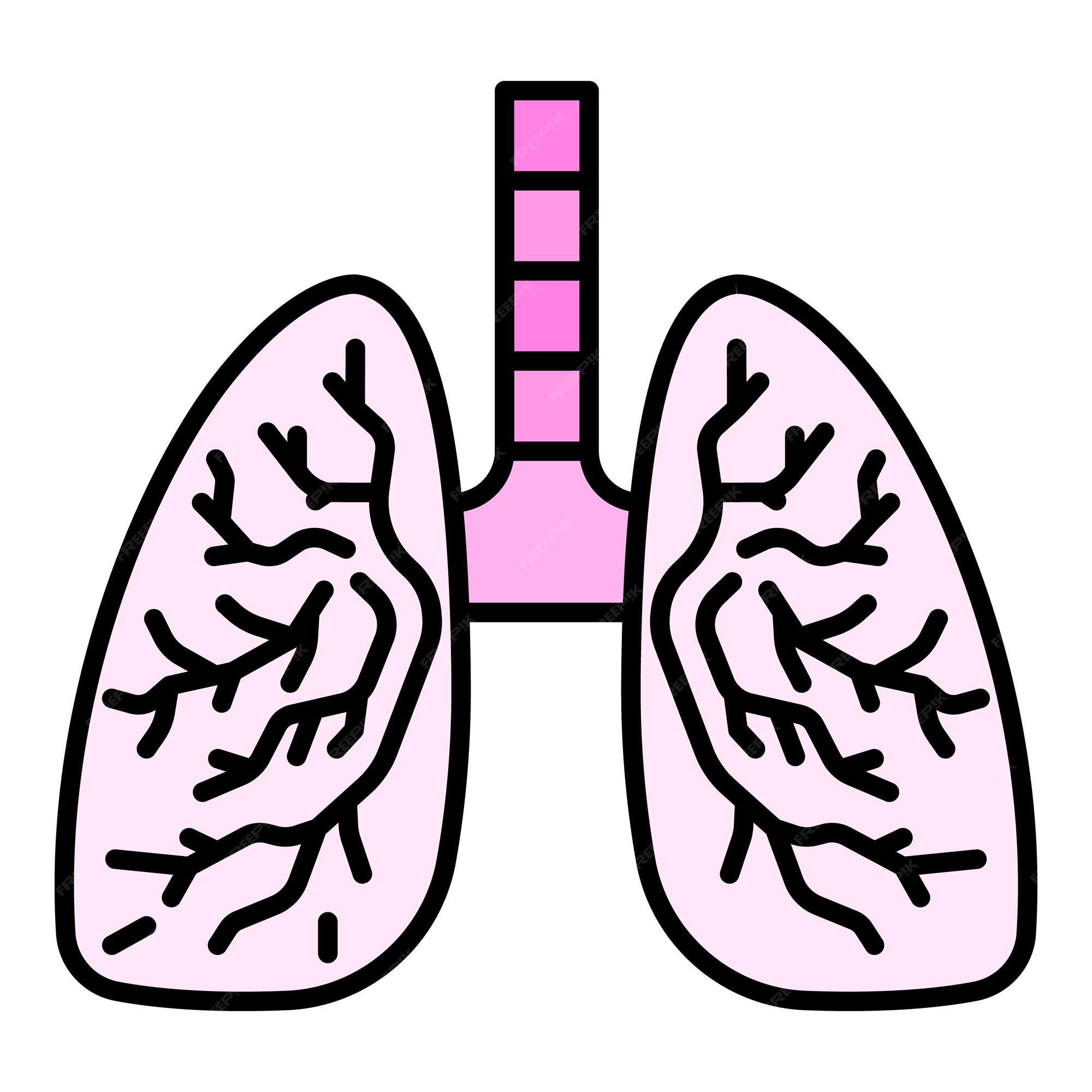 Premium Vector | Healthy lungs icon outline healthy lungs vector icon ... Premium Vector | Healthy lungs icon outline healthy lungs vector icon ...