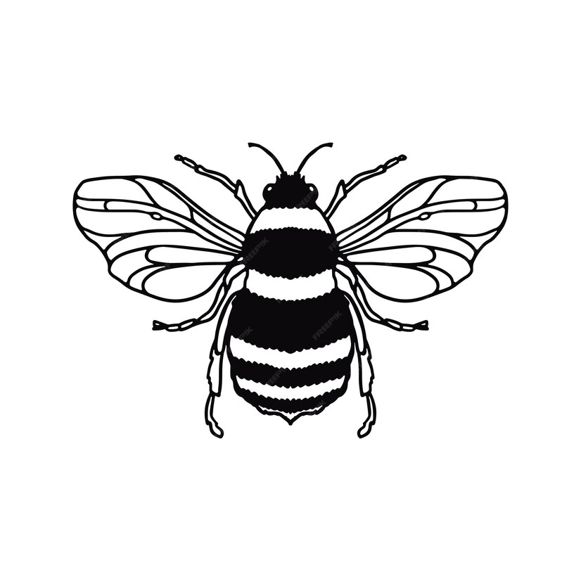 Premium Vector | Honey bee outline doodle isolated on white background ... Premium Vector | Honey bee outline doodle isolated on white background ...