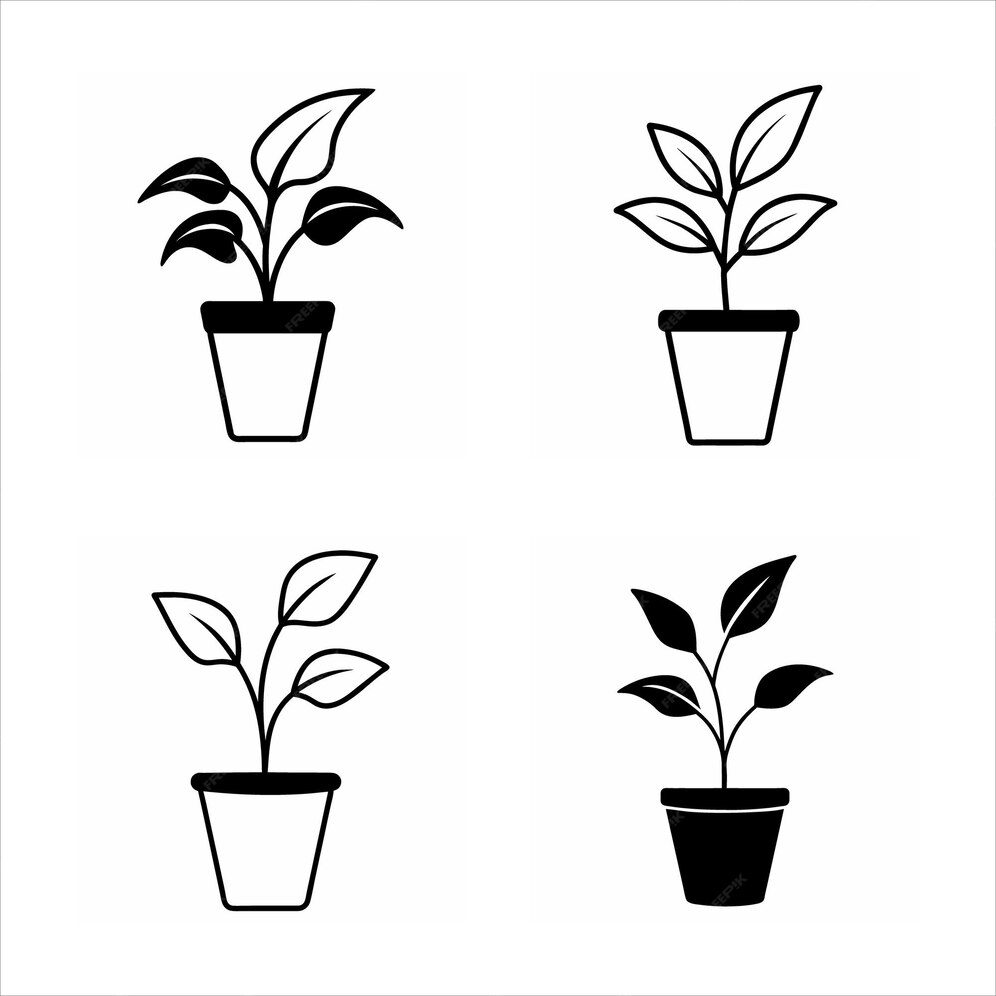 Premium Vector House Plant In A Pot