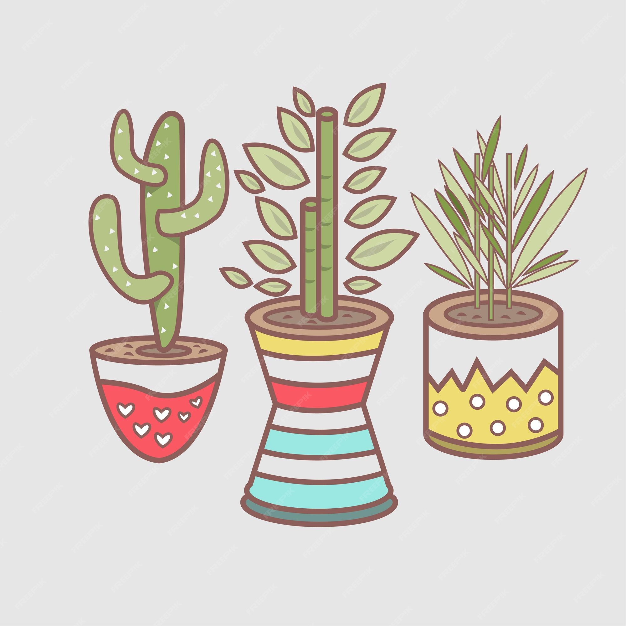 Premium Vector House Plants Vector Illustration