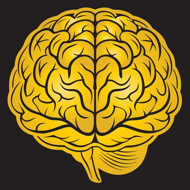 Premium Vector | A human brain vector illustration Premium Vector | A human brain vector illustration