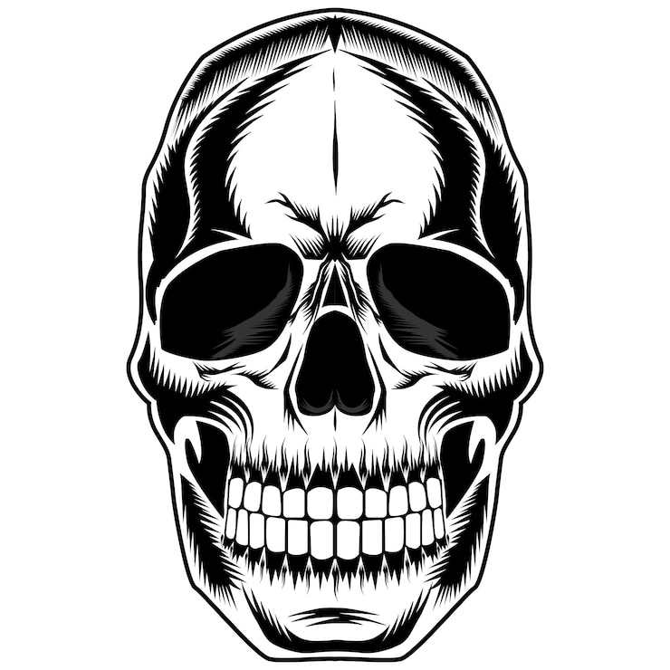 Premium Vector Human Skull Illustration