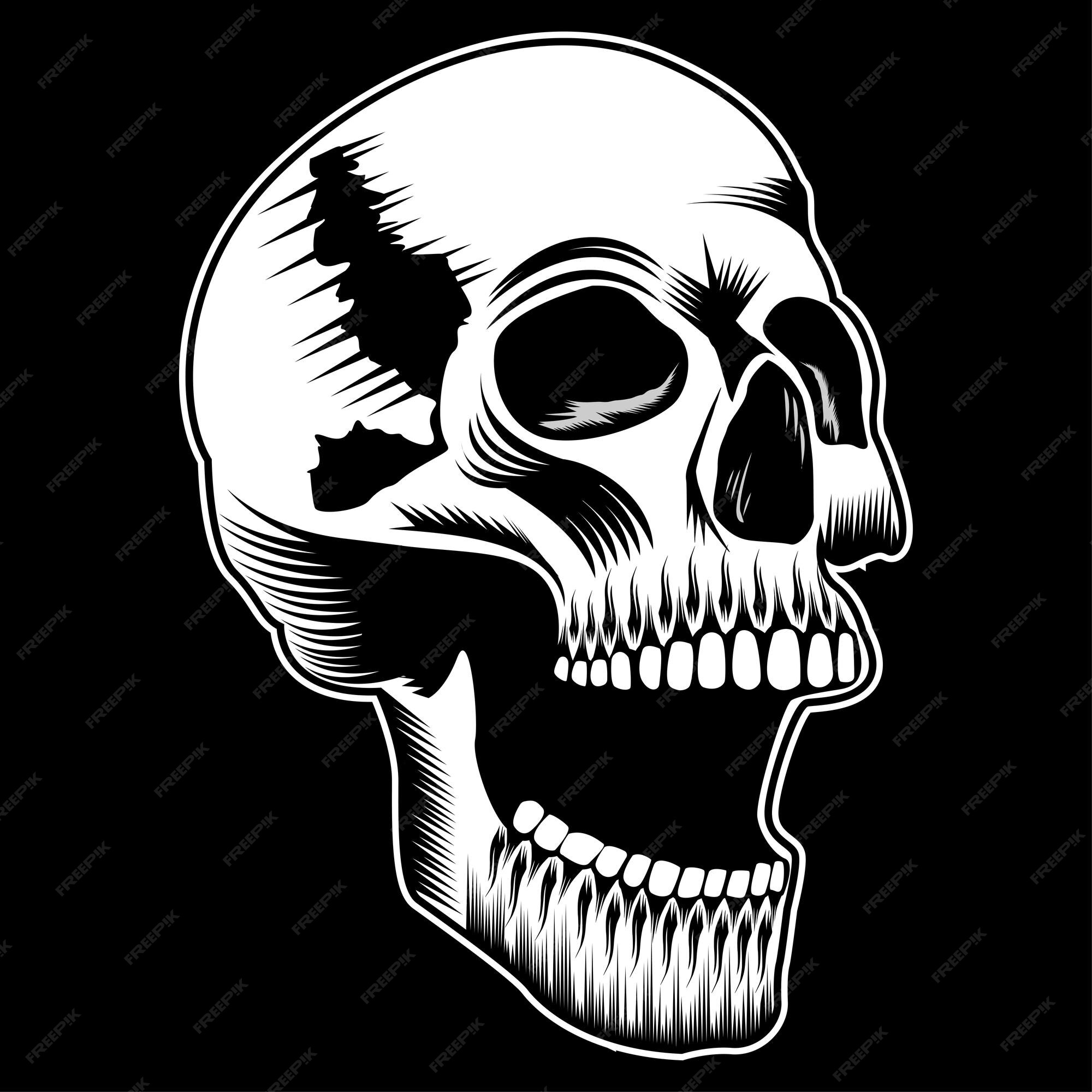 Premium Vector Human Skull Illustration