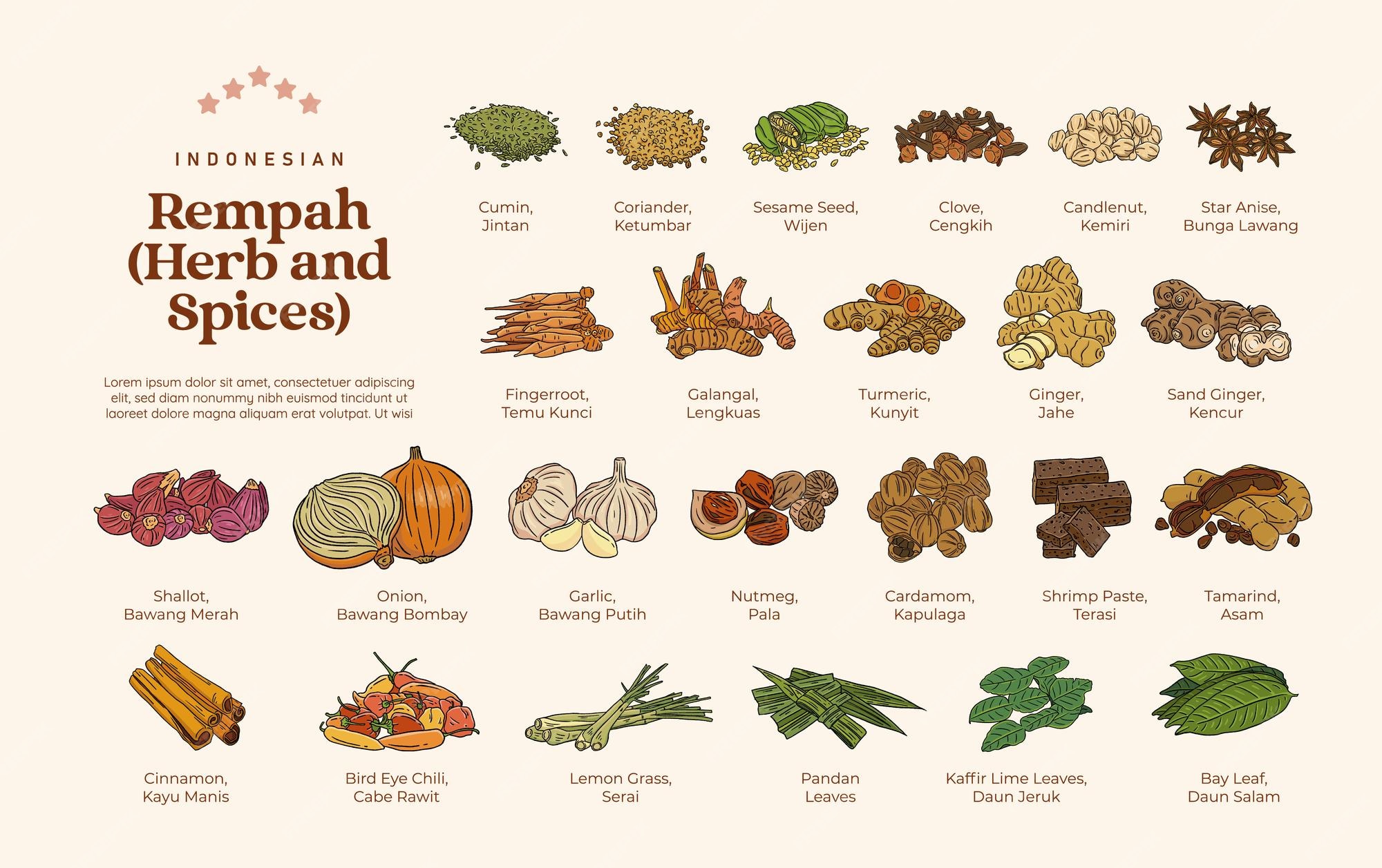 Premium Vector | Isolated various Herb and Spices Rempah Indonesian ... Premium Vector | Isolated various Herb and Spices Rempah Indonesian ...