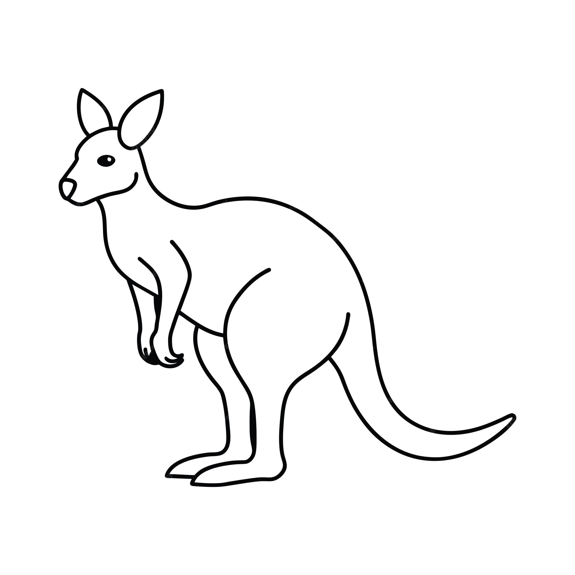 Premium Vector | Kangaroo Vector Set Front View Premium Vector | Kangaroo Vector Set Front View