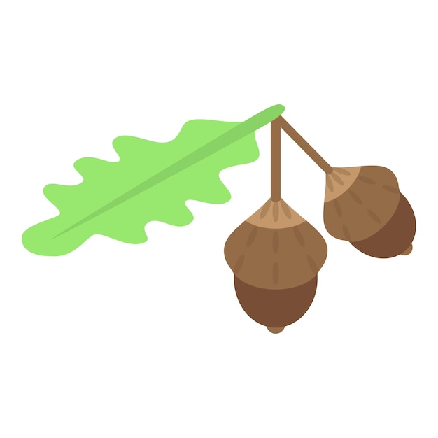 Premium Vector | Leaf acorn icon isometric of leaf acorn vector icon ... Premium Vector | Leaf acorn icon isometric of leaf acorn vector icon ...