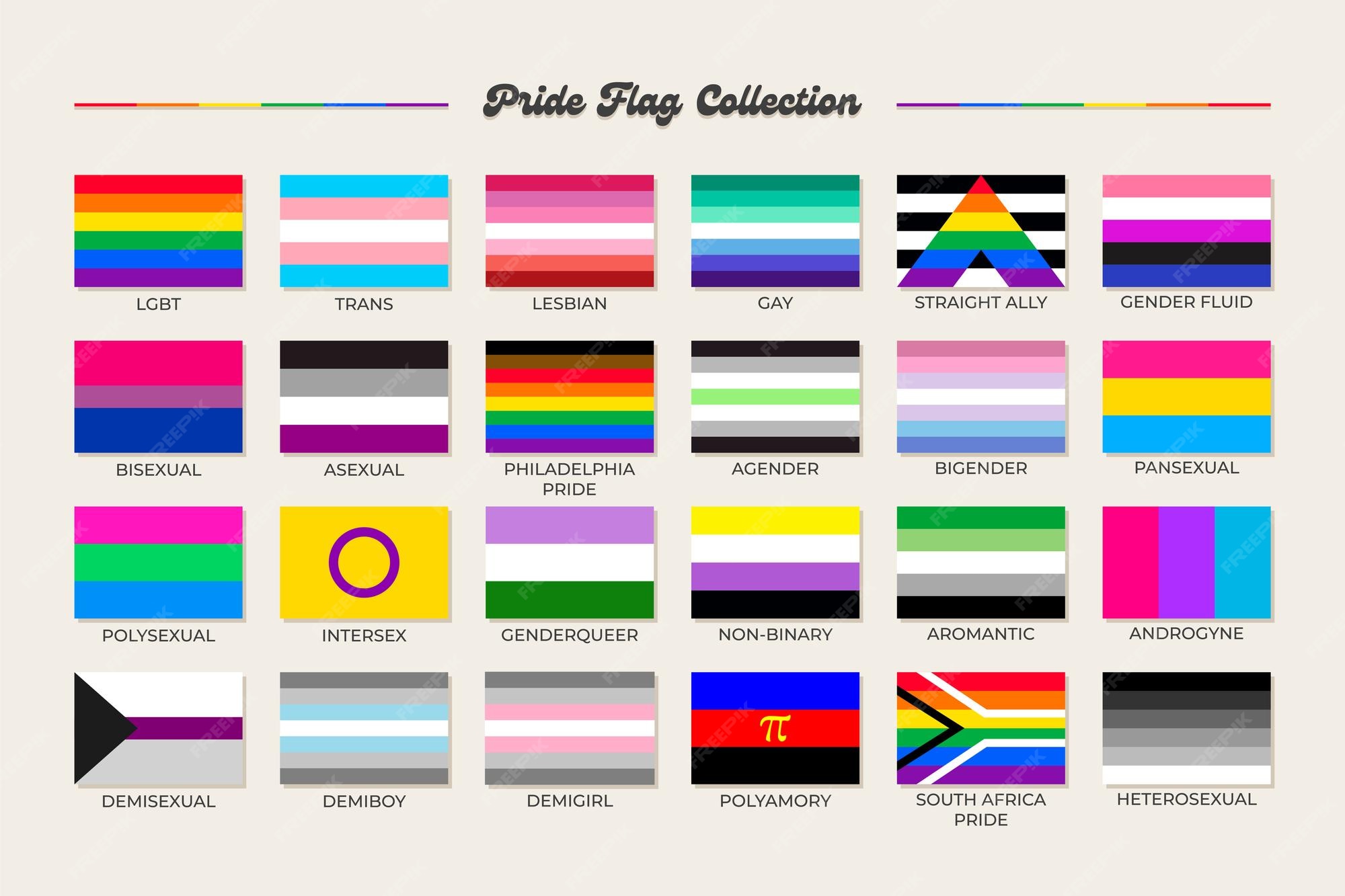 Lgbtq 성적 정체성 프라이드 플래그 컬렉션 게이 트랜스젠더 양성 레즈비언 등 프라이드 개념의 국기 프리미엄 벡터