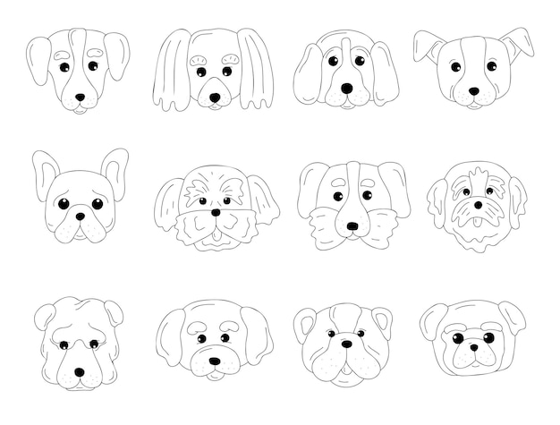 Premium Vector | Line art of popular dog breeds faces Canine breeds ... Premium Vector | Line art of popular dog breeds faces Canine breeds ...