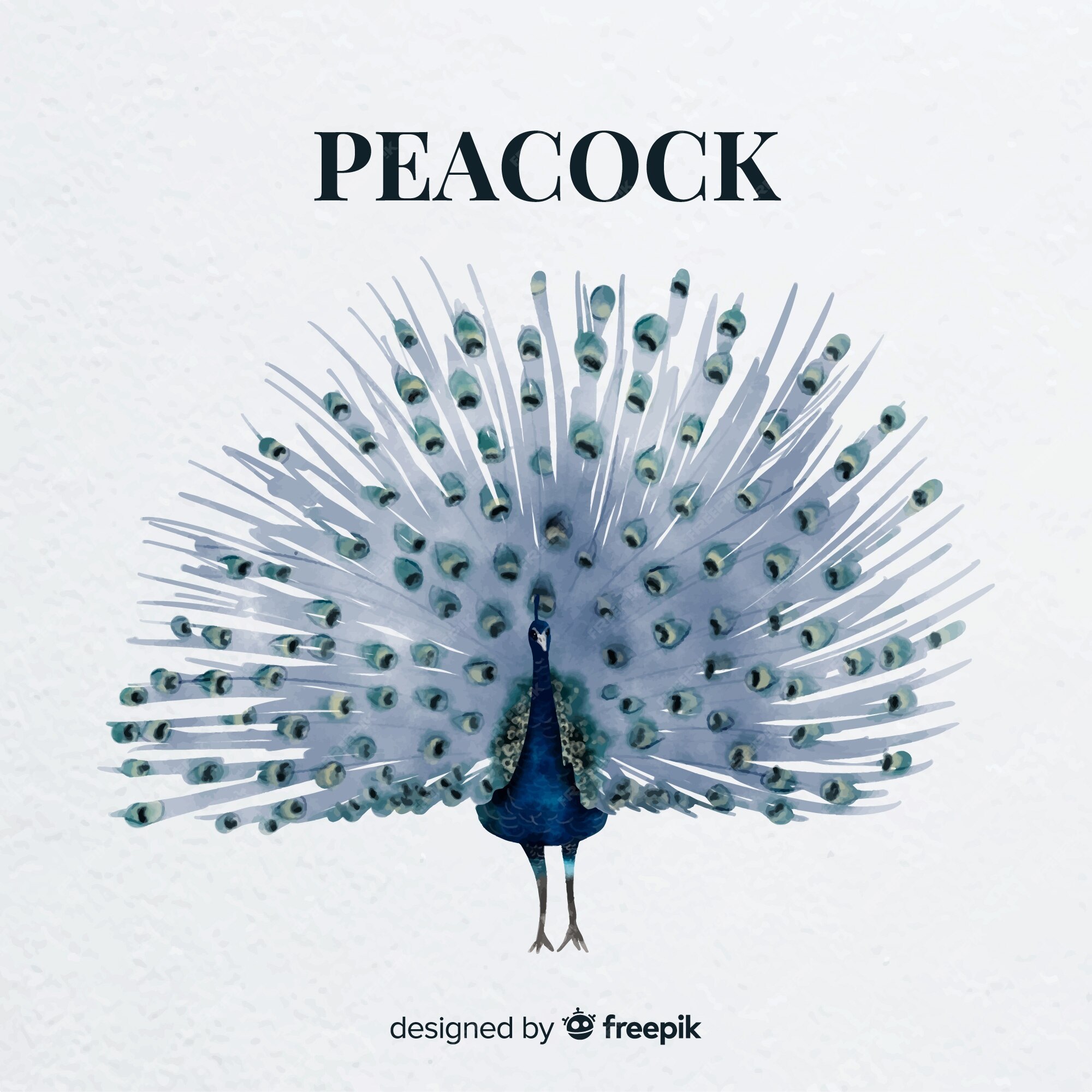 Premium Vector Lovely Watercolor Peacock