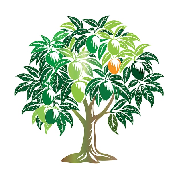 Premium Vector | Mango tree vector illustration Premium Vector | Mango tree vector illustration