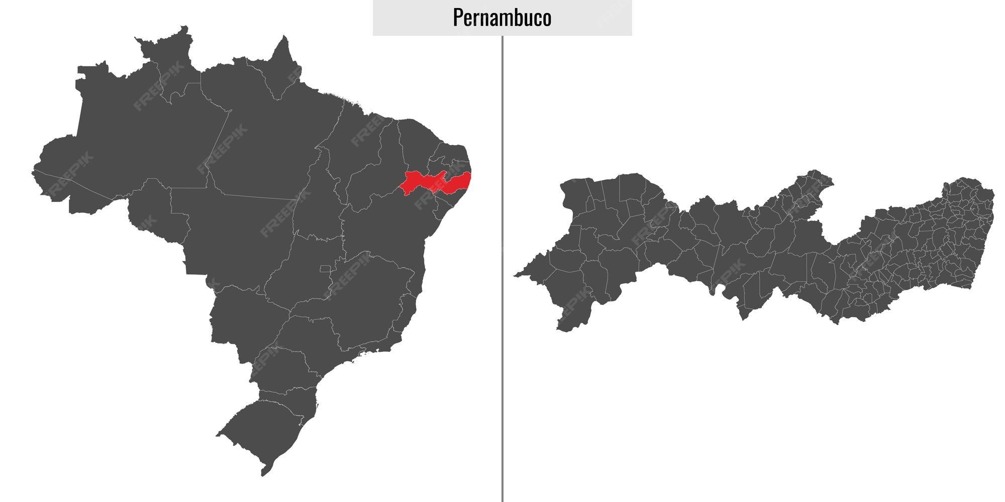 Premium Vector Map Of Pernambuco State Of Brazil
