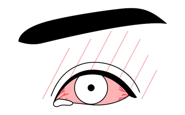 Premium Vector | Medical Clipart Line Drawing Illustration of Eye ... Premium Vector | Medical Clipart Line Drawing Illustration of Eye ...