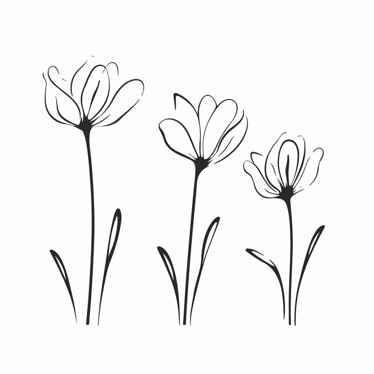 Premium Vector Meticulously Crafted Vector Illustration Of A Popy