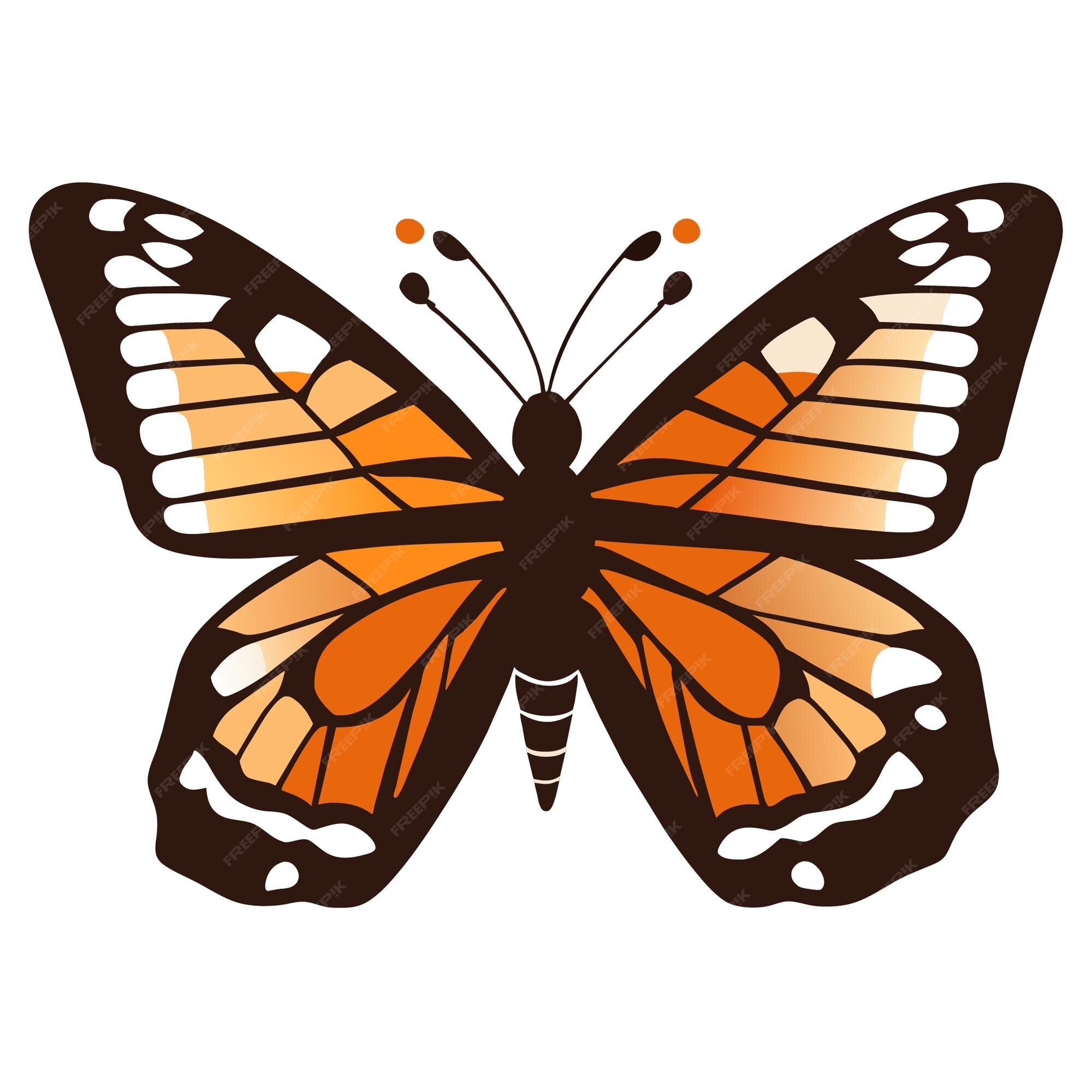 Premium Vector | Monarch butterfly vector endless possibilities Premium Vector | Monarch butterfly vector endless possibilities